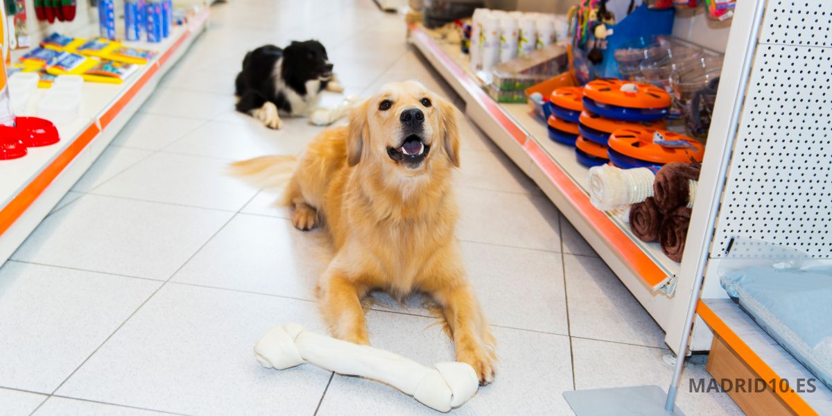 17 Mejores tiendas de mascotas en Madrid